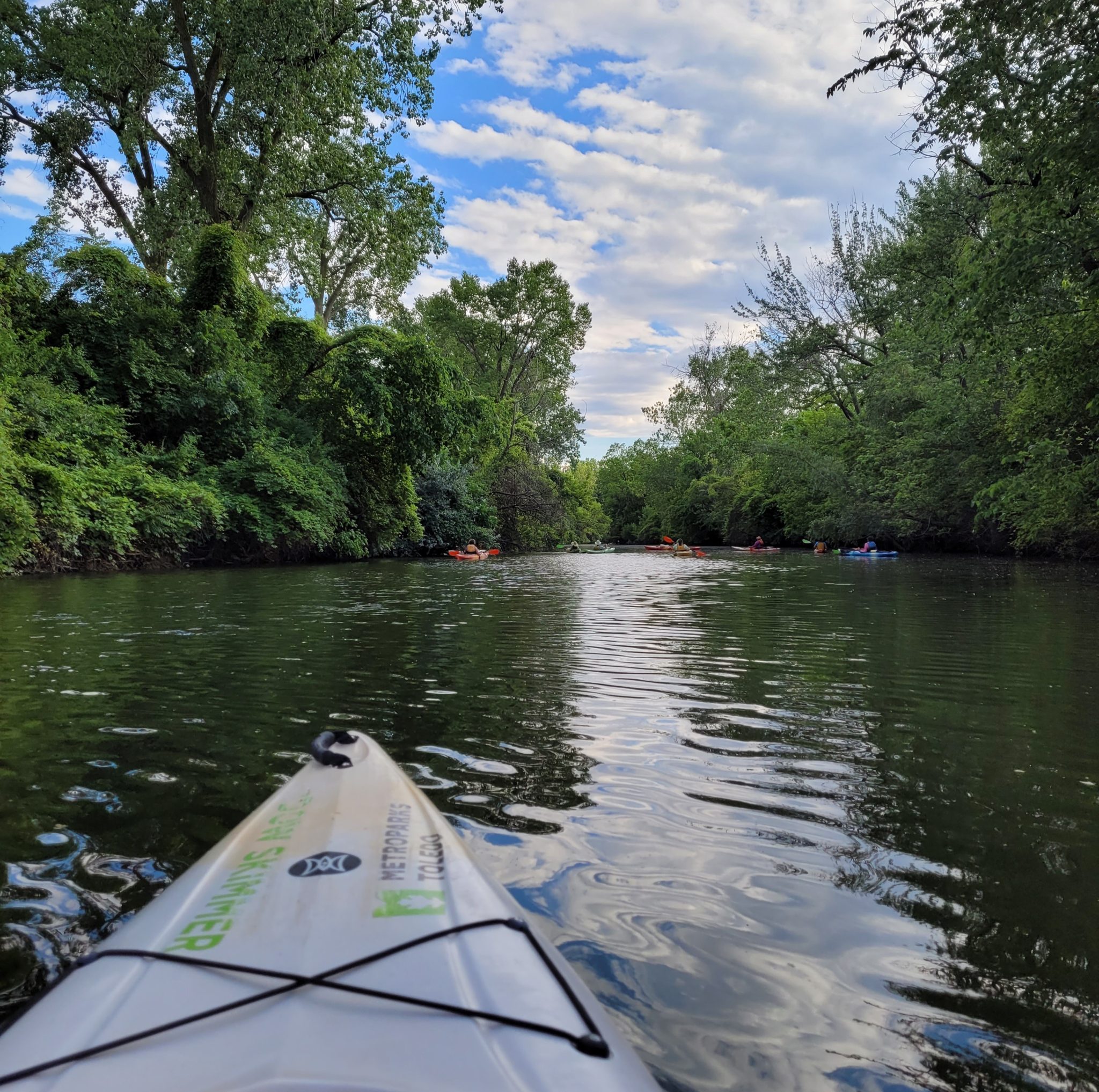 Partners for Clean Streams – Clean, clear, and safe water in Northwest Ohio