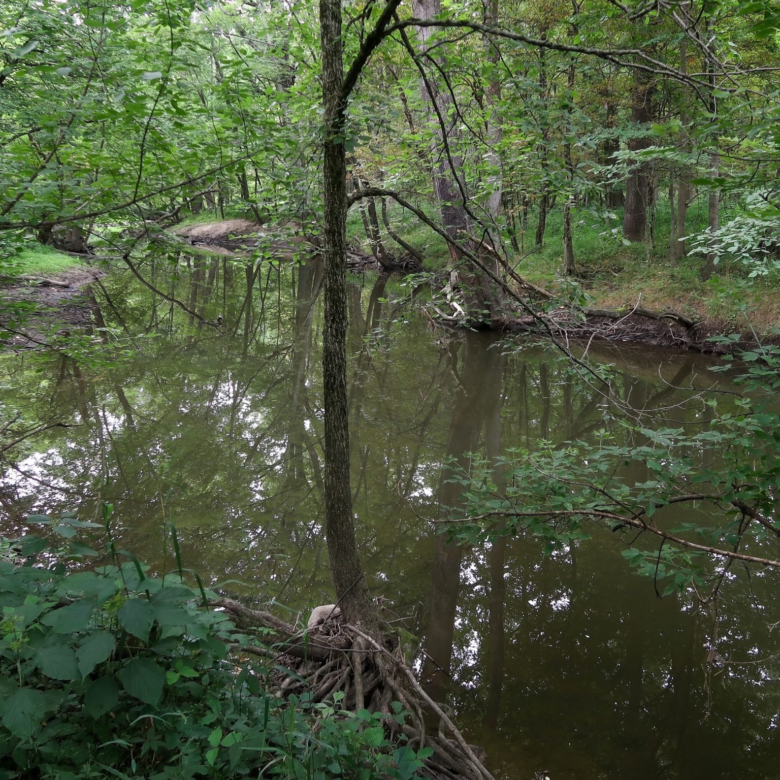 About Our Waterways – Partners for Clean Streams