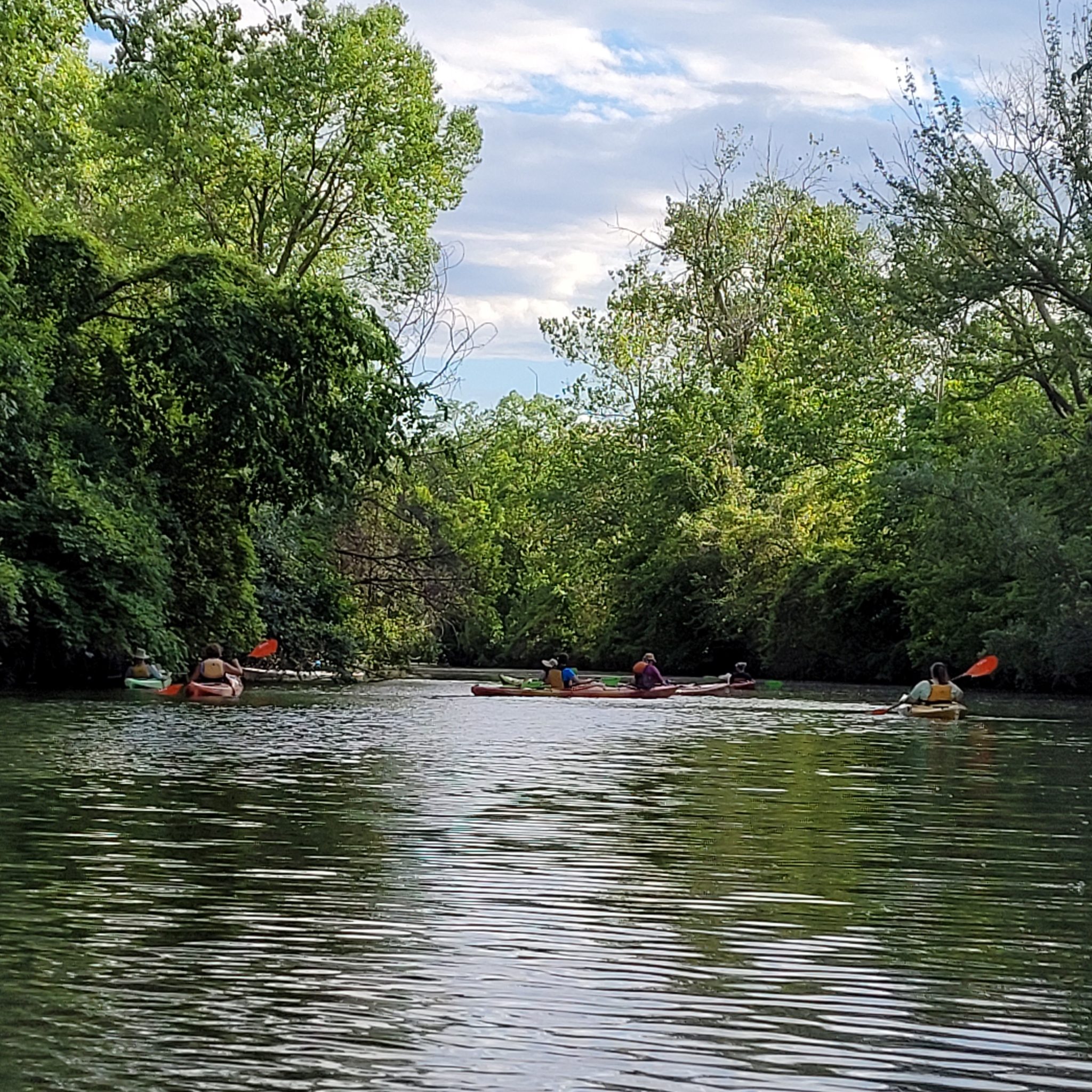 Maumee River – Partners for Clean Streams